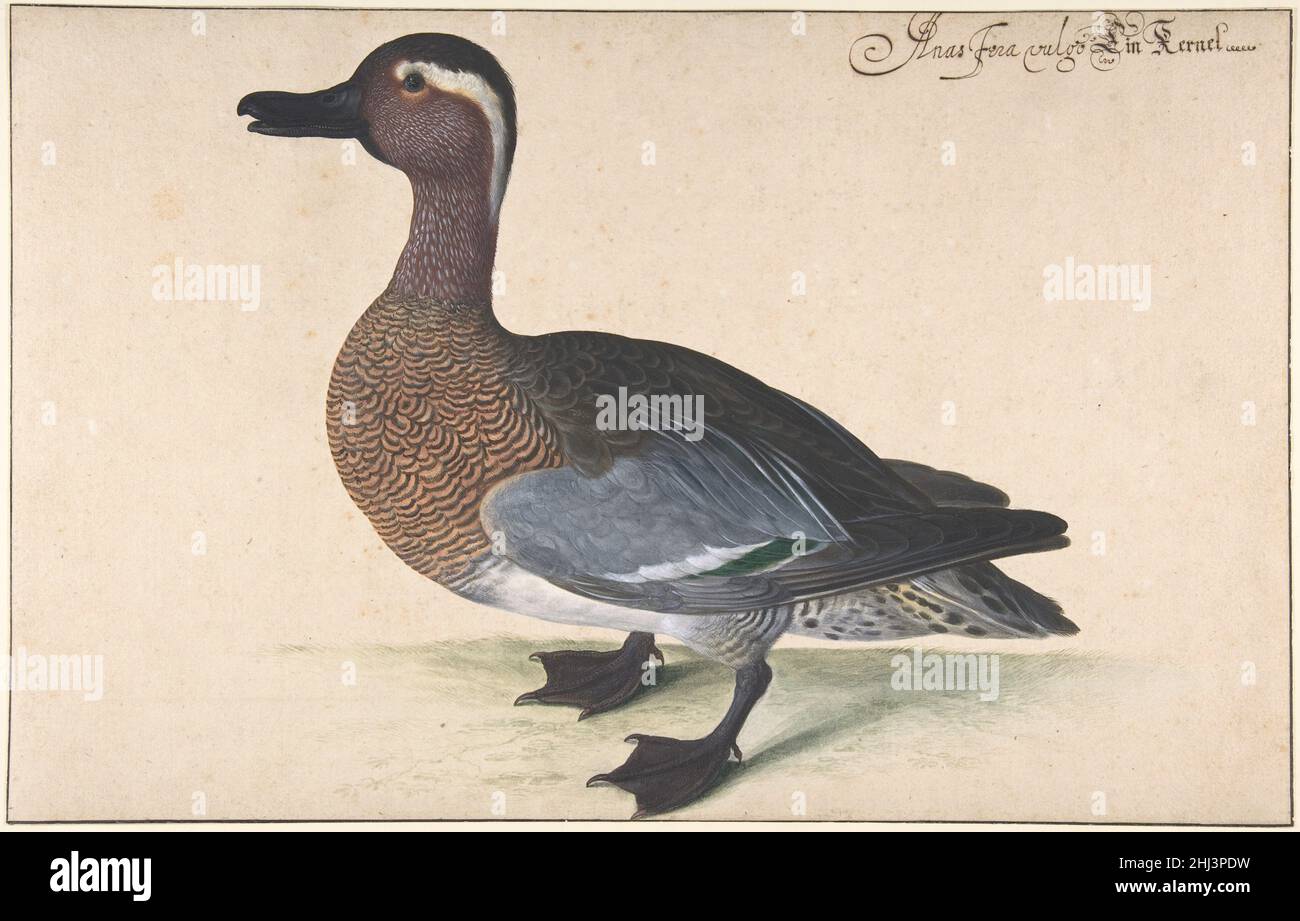 1604 80 hi-res stock photography and images - Alamy