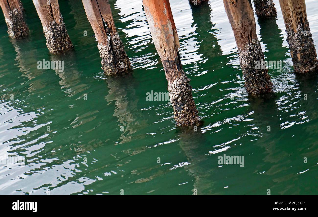Dock pillars hi-res stock photography and images - Alamy