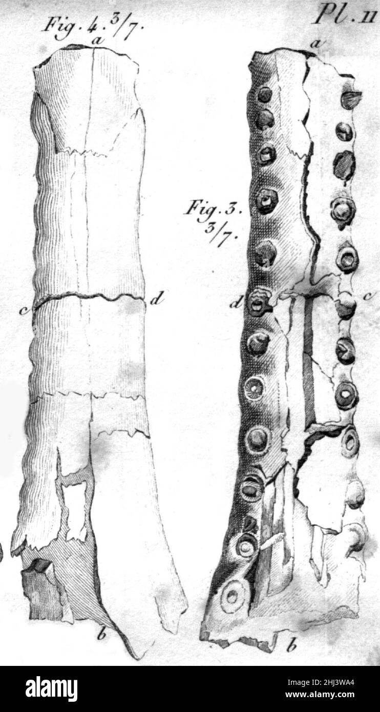 Steneosaurus hi-res stock photography and images - Alamy