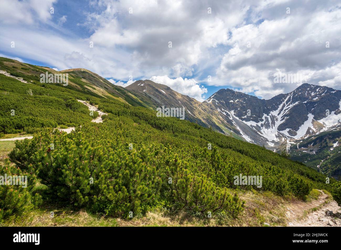 Western Tatras in Slovakia with Rohace peaks in the background Stock ...