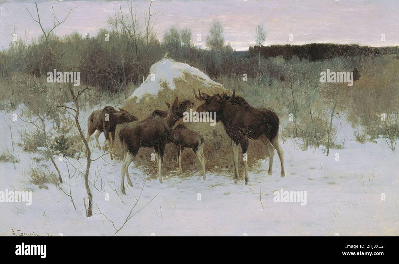 Stepanov hi-res stock photography and images - Alamy