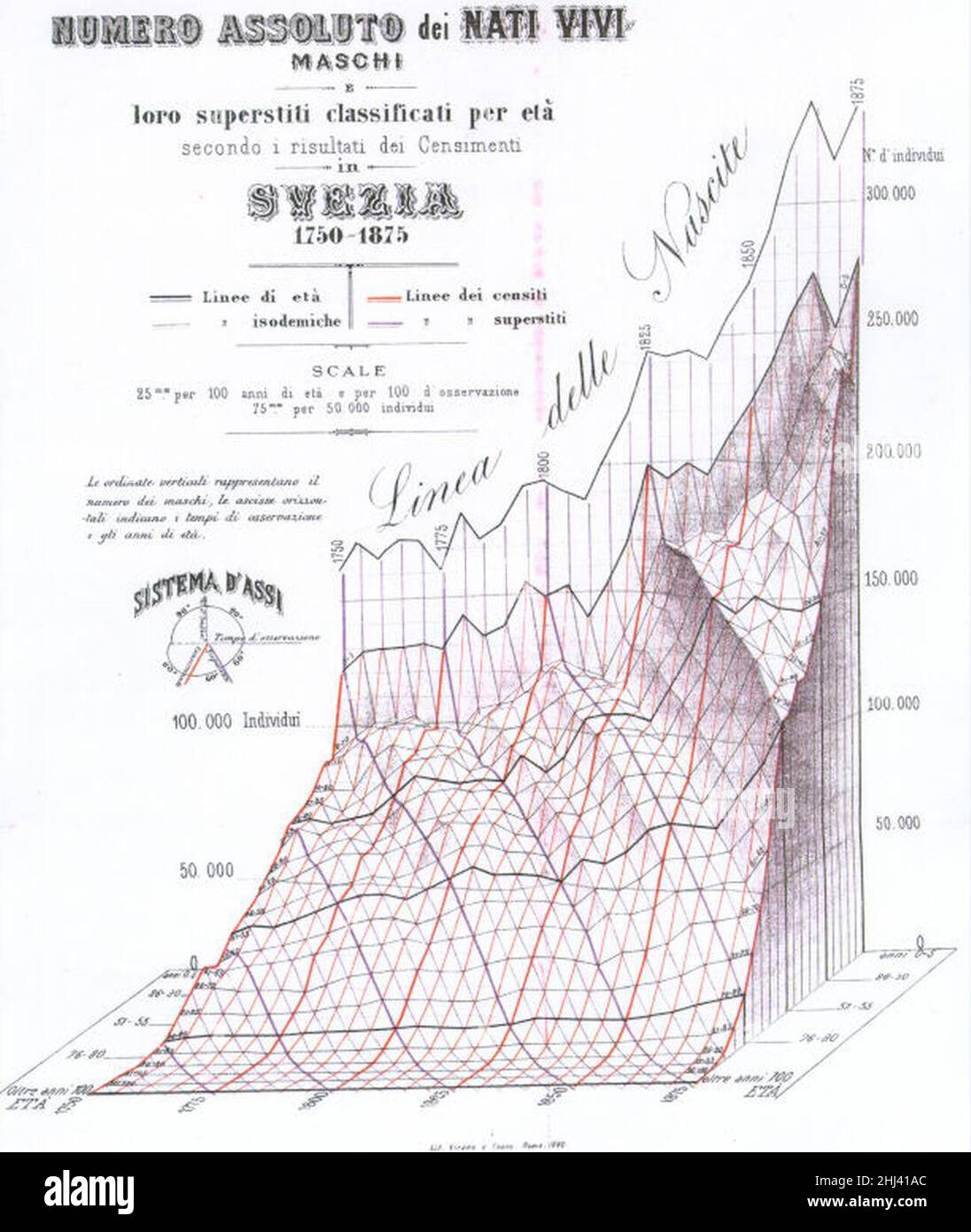 Stereogram (three-dimensional population pyramid) modeled on actual ...