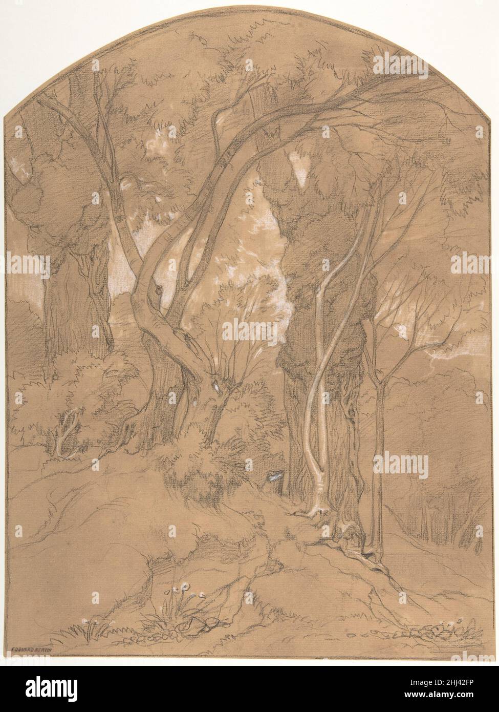 Trees in a Forest Edouard Bertin French. Trees in a Forest 334466 Stock ...