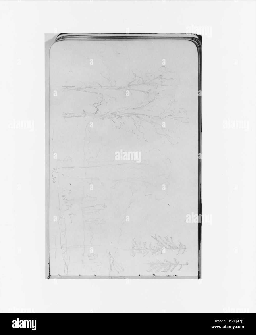 Cowlitz River; Kelso, Washington (from Sketchbook) 1890 Albert ...