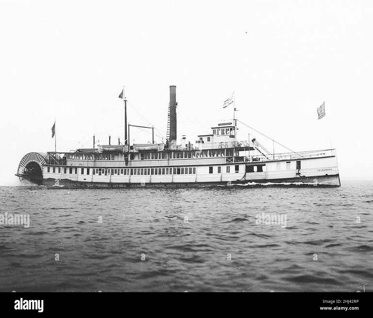 Sternwheeler TELEGRAPH on Puget Sound Stock Photo - Alamy