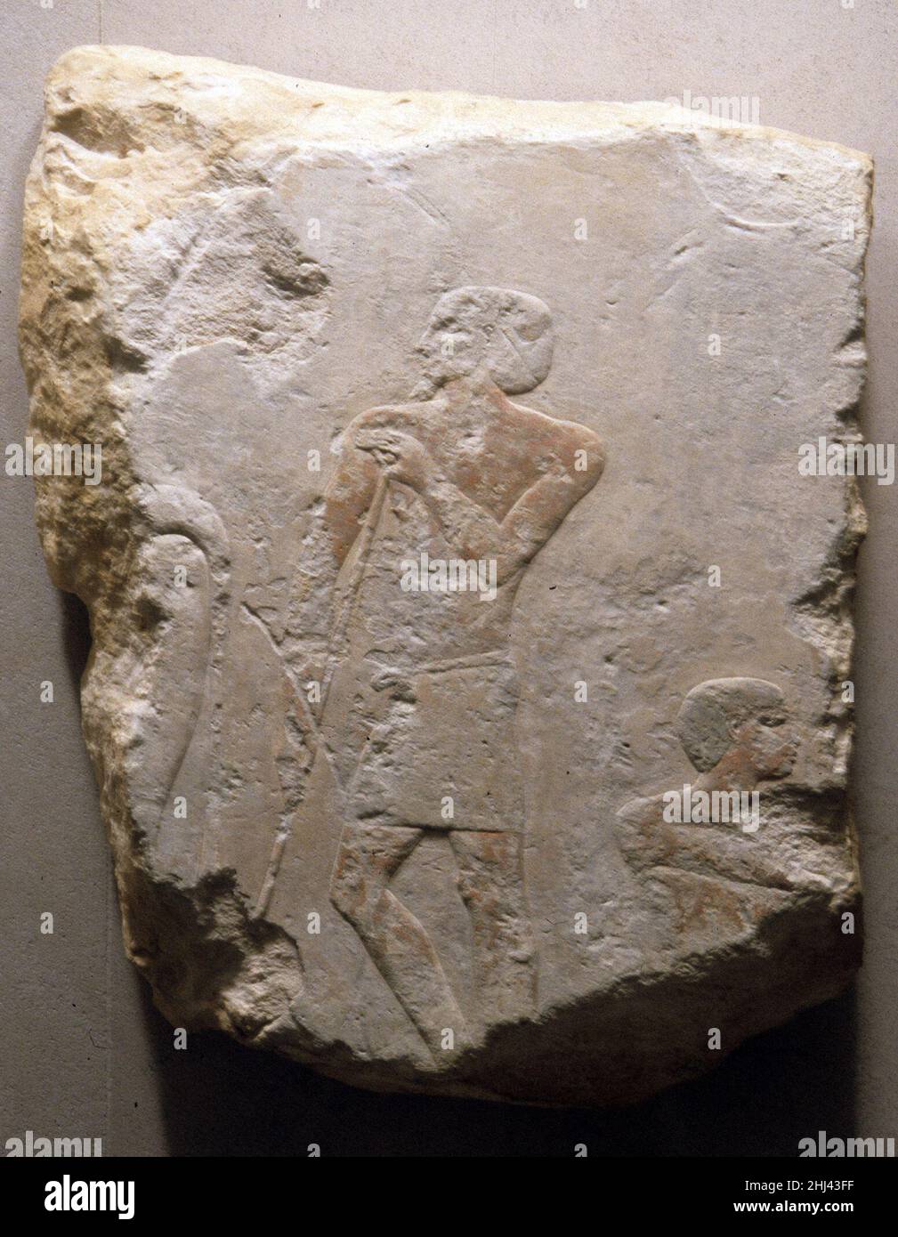 Relief depicting cattle farming ca. 2323–2150 B.C. Old Kingdom This ...