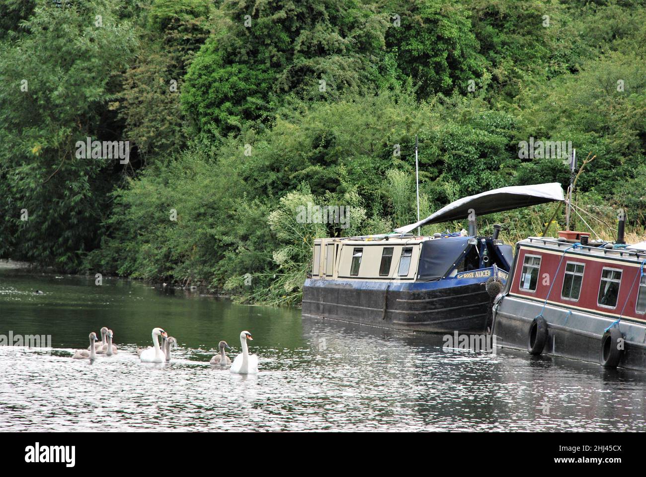 narrow boats in the canal Stock Photo - Alamy