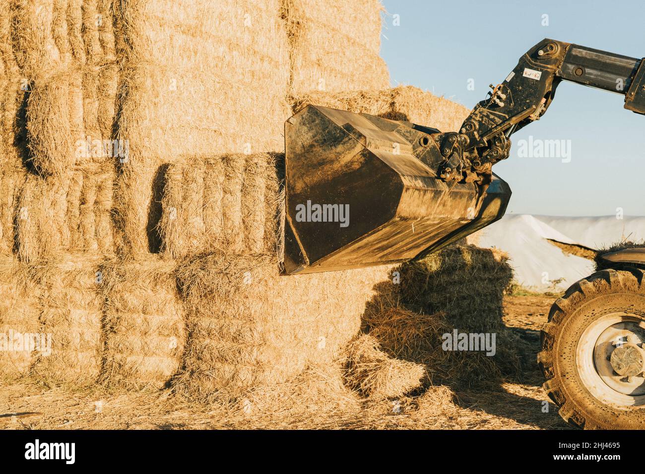 Pick and shovel hi-res stock photography and images - Alamy