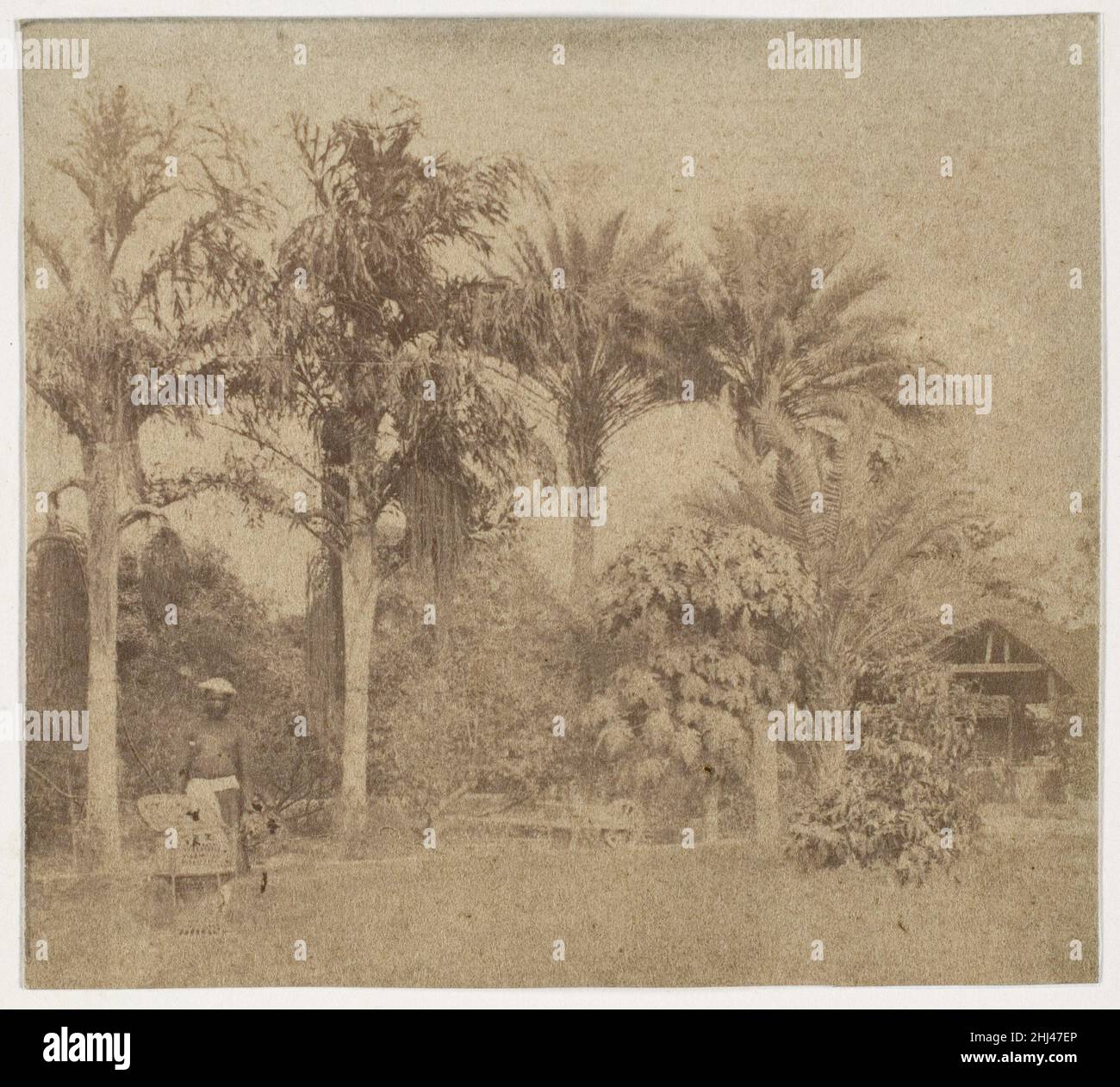 [Gardens, Government House, Allahabad] 1858 John Constantine Stanley ...