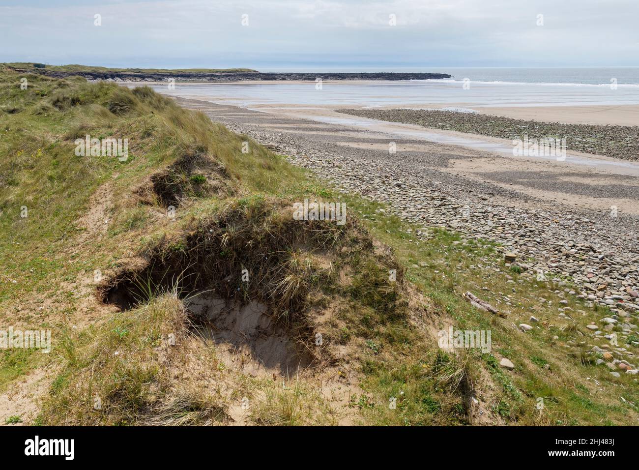 Eroded coastal sand dunes on the sea front, Kenfig NNR, Glamorgan ...