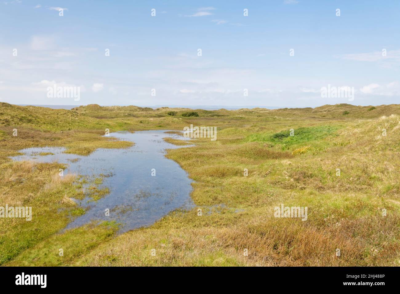 Coastal sand dunes and a flooded dune slack, Kenfig NNR, Glamorgan ...