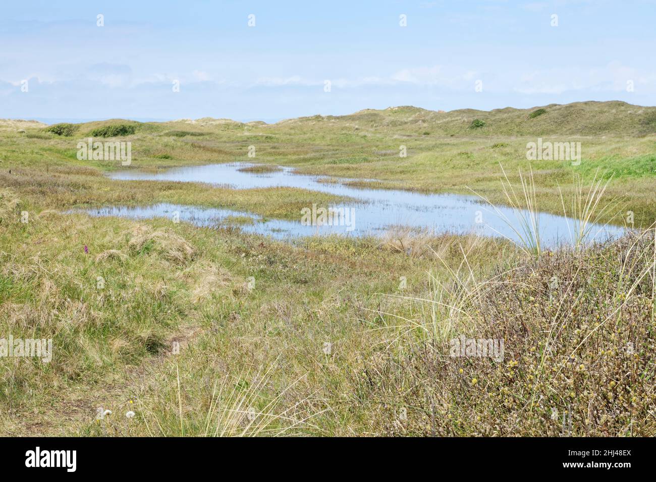 Coastal sand dunes and a flooded dune slack, Kenfig NNR, Glamorgan ...