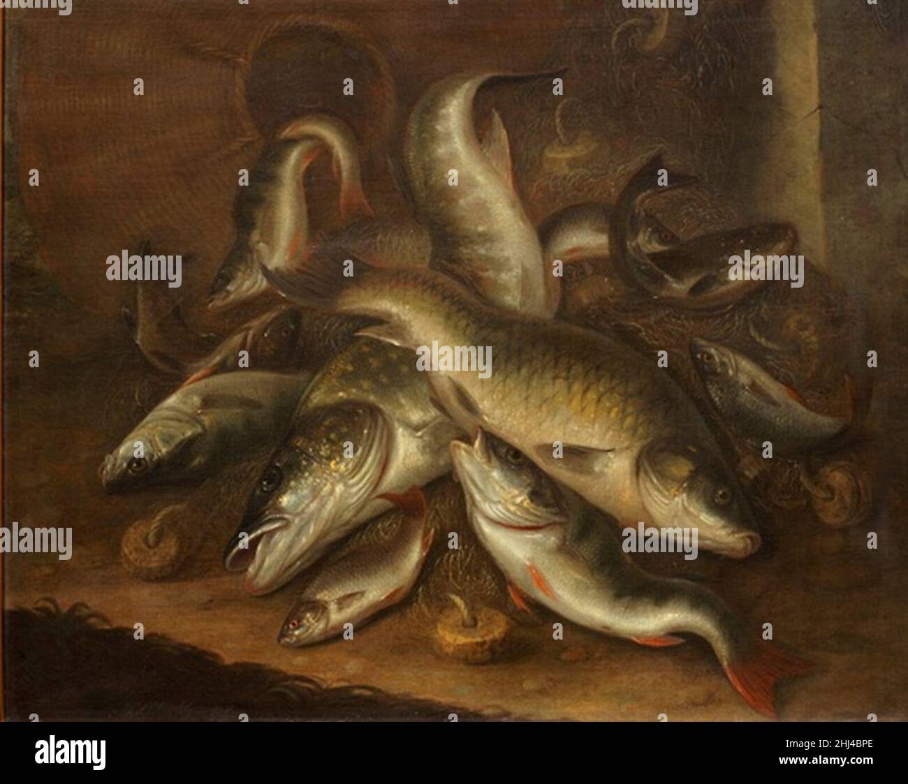 Stilleven met dode vissen Stock Photo - Alamy