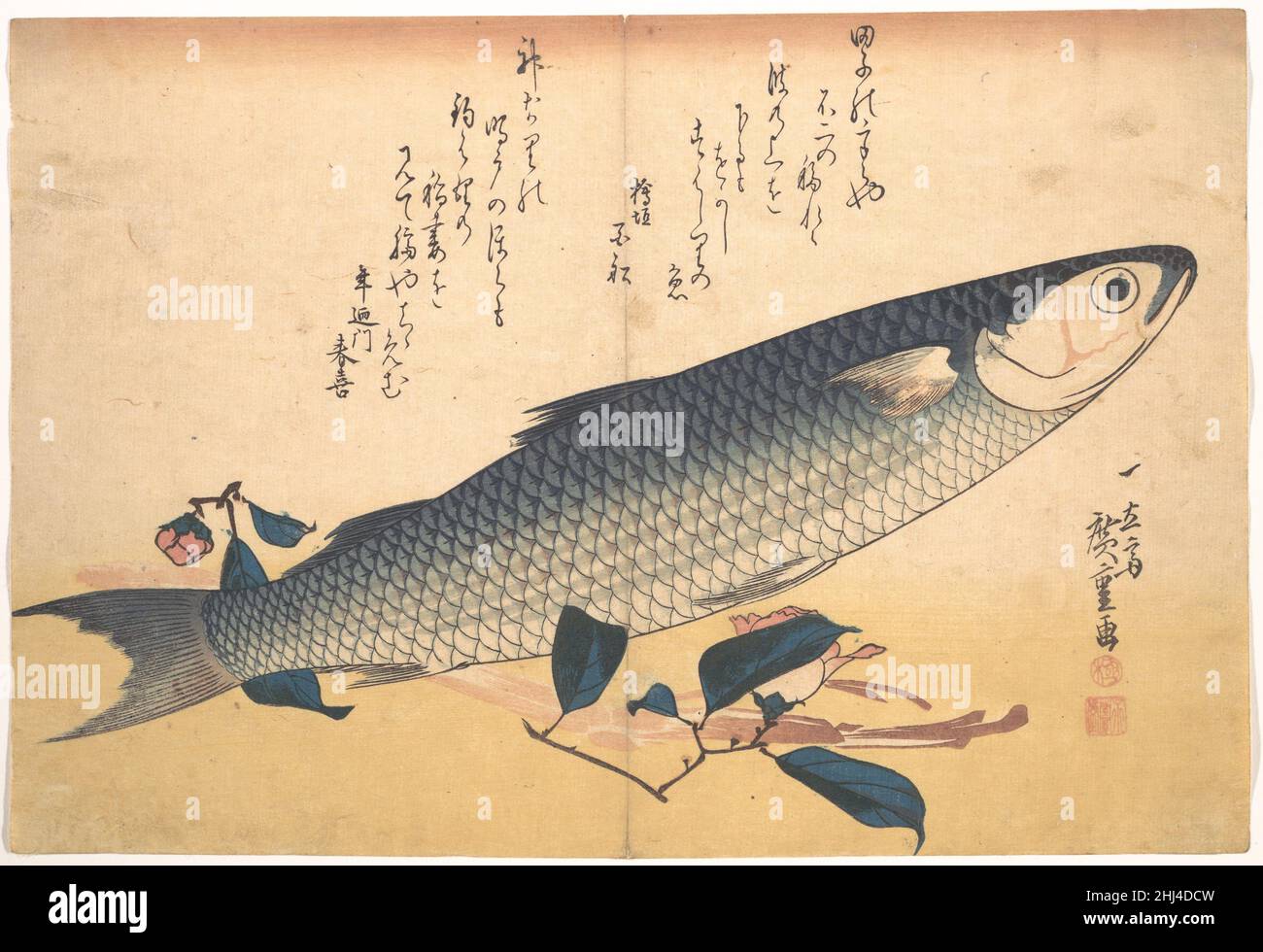 Bora Fish with Camellia, from the series Uozukushi (Every Variety of ...