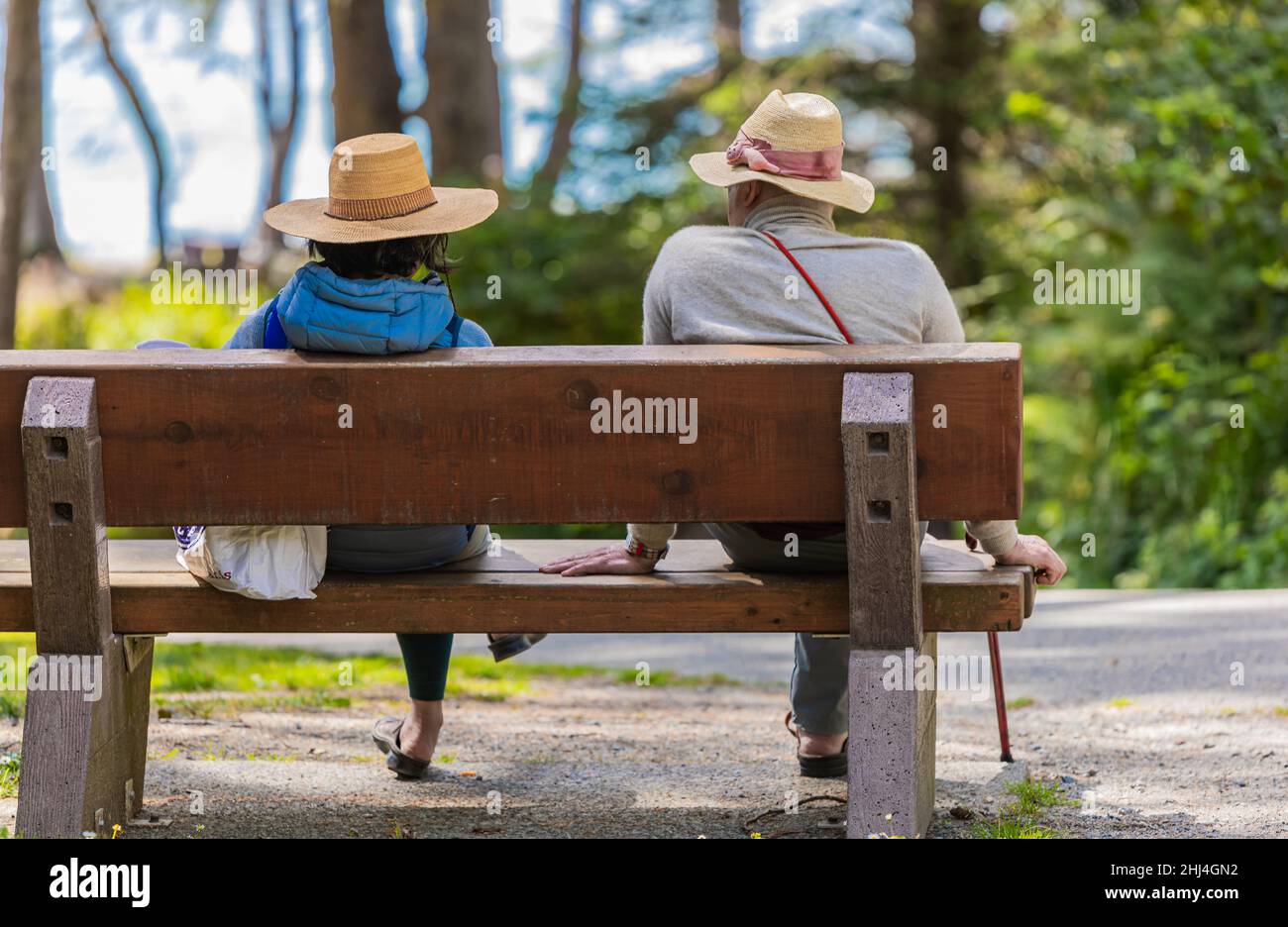 Elderly woman sitting rear view bench hi-res stock photography and ...