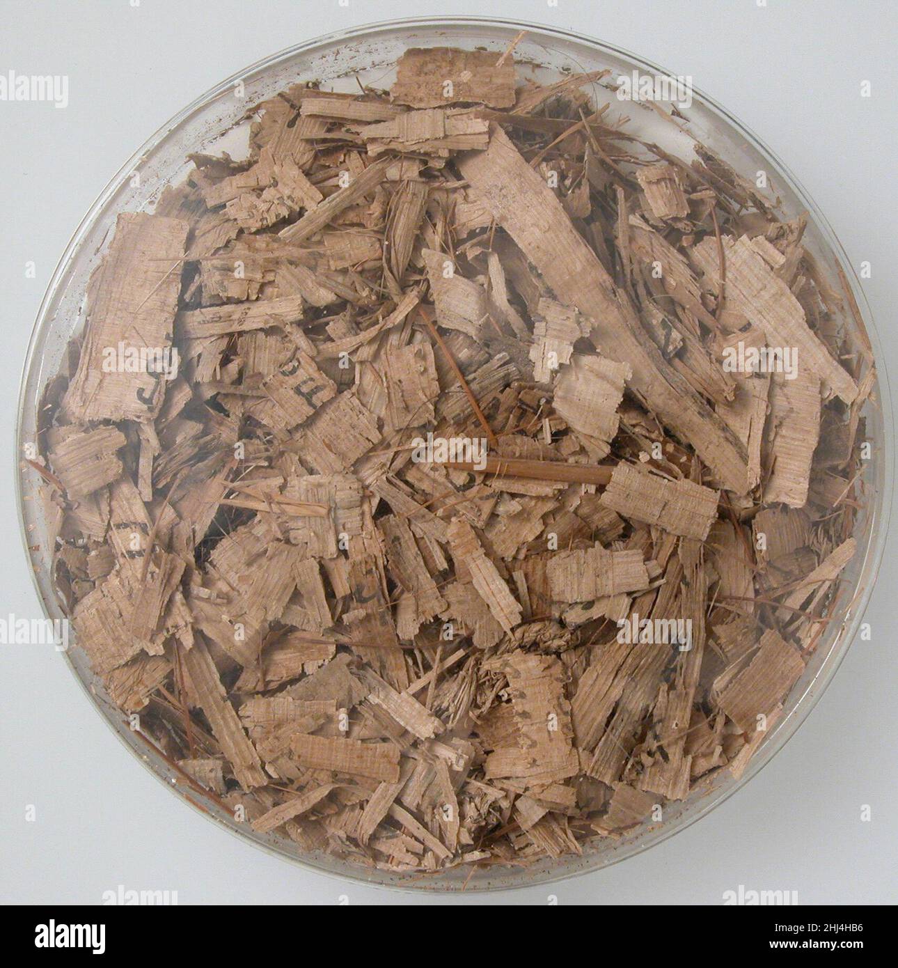 Papyri Fragments 7th century Coptic. Papyri Fragments 479237 Stock ...