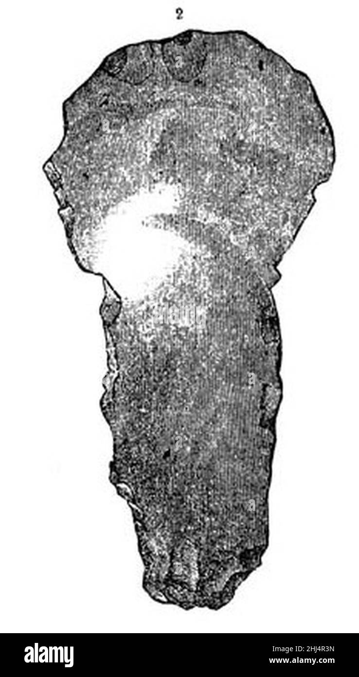 Stone tools (Eskimo) (2 - Flint scraper of the former Porečans Stock ...
