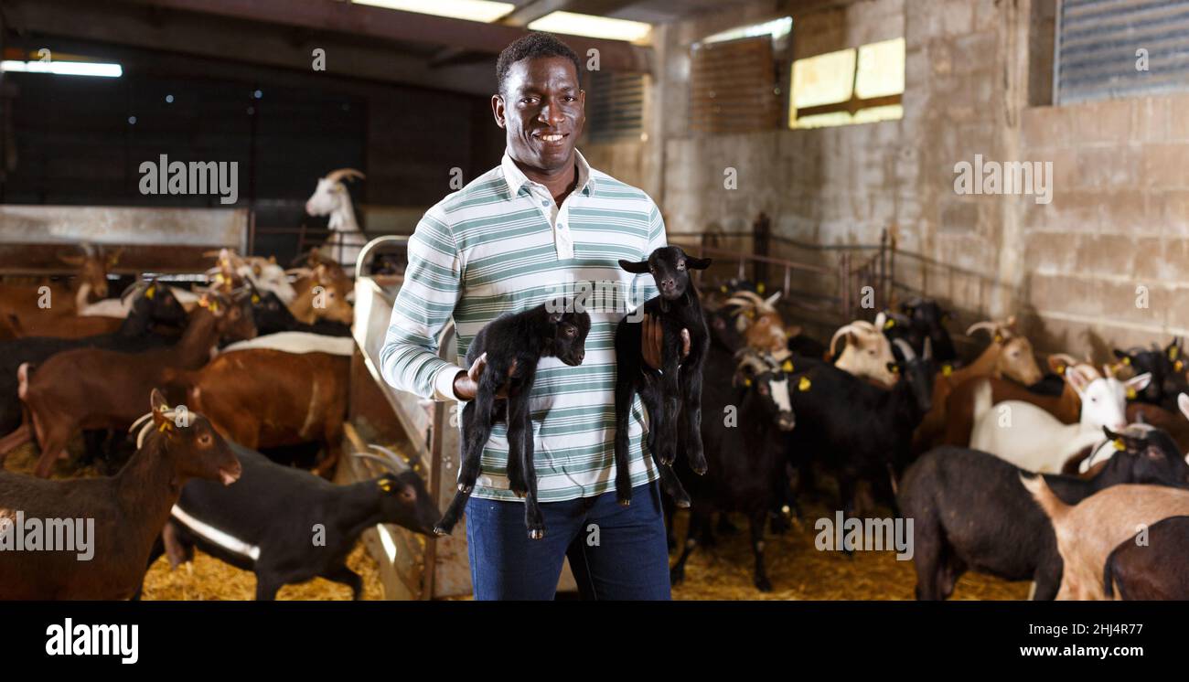 Farmworker with goatlings Stock Photo - Alamy