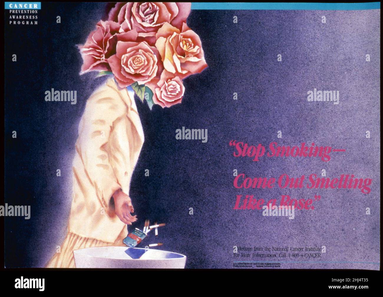 Stop smoking-come out smelling like a rose poster Stock Photo - Alamy