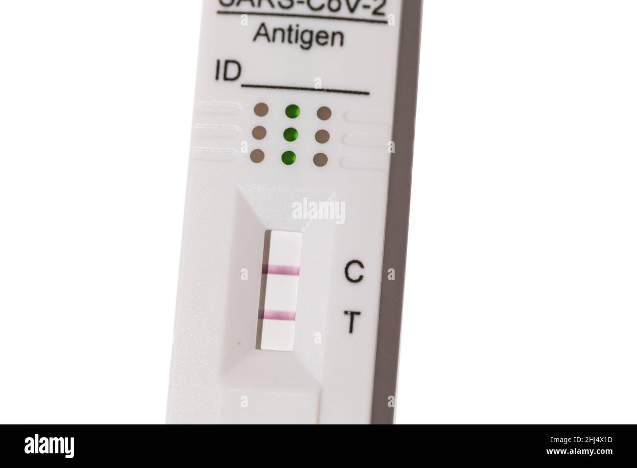 Detail of an antigen test with two red lines, giving a positive result ...