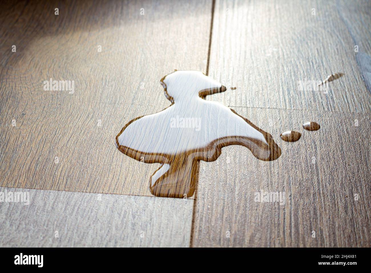 Laminate and water. Waterproof laminate. Wooden floors are impervious ...