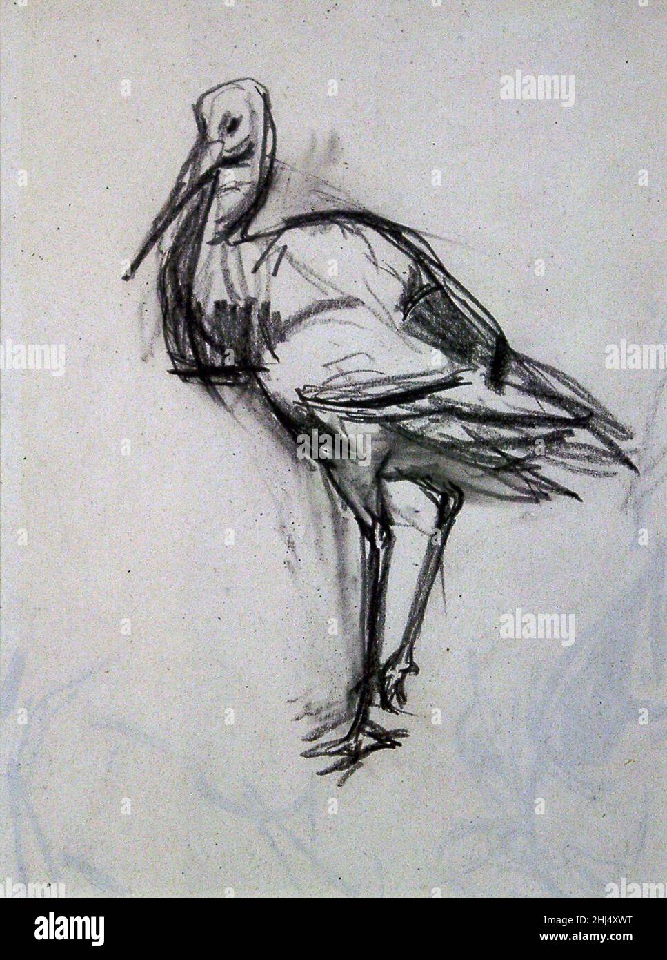 Stork drawing hi-res stock photography and images - Alamy