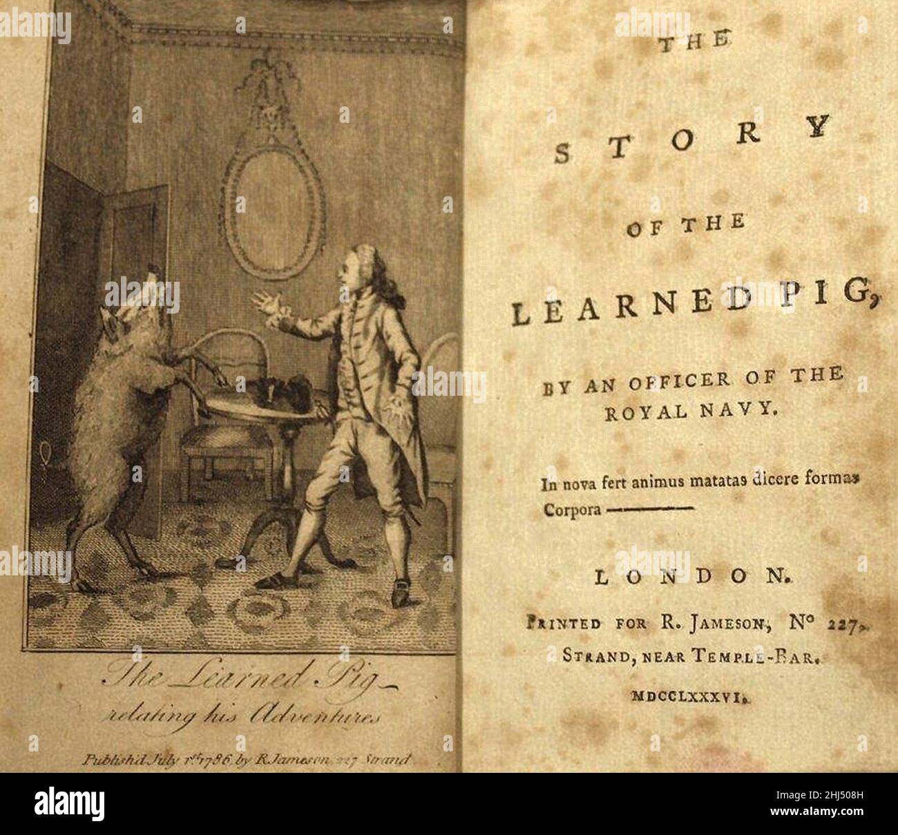 Story of the Learned Pig by an Officer of the Royal Navy 1786 Stock ...