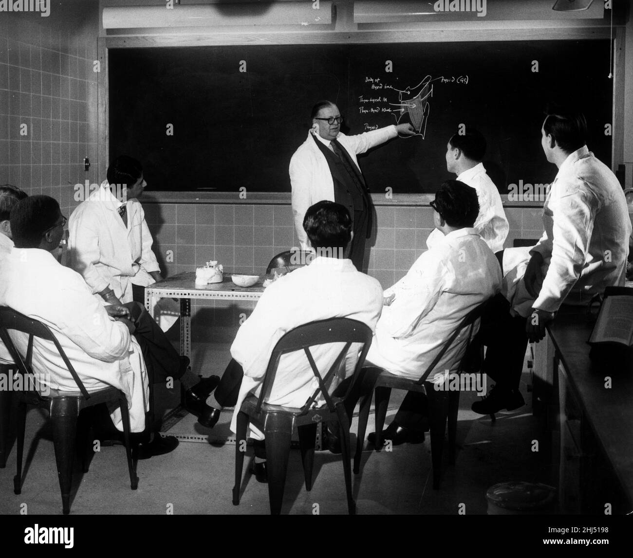 Trainee doctors being given instruction on the blackboard during a ...
