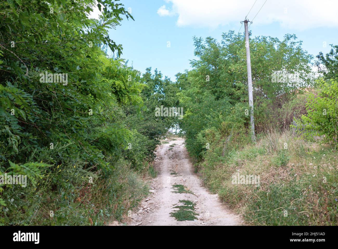 Countryside road . Rustic path in village Stock Photo - Alamy