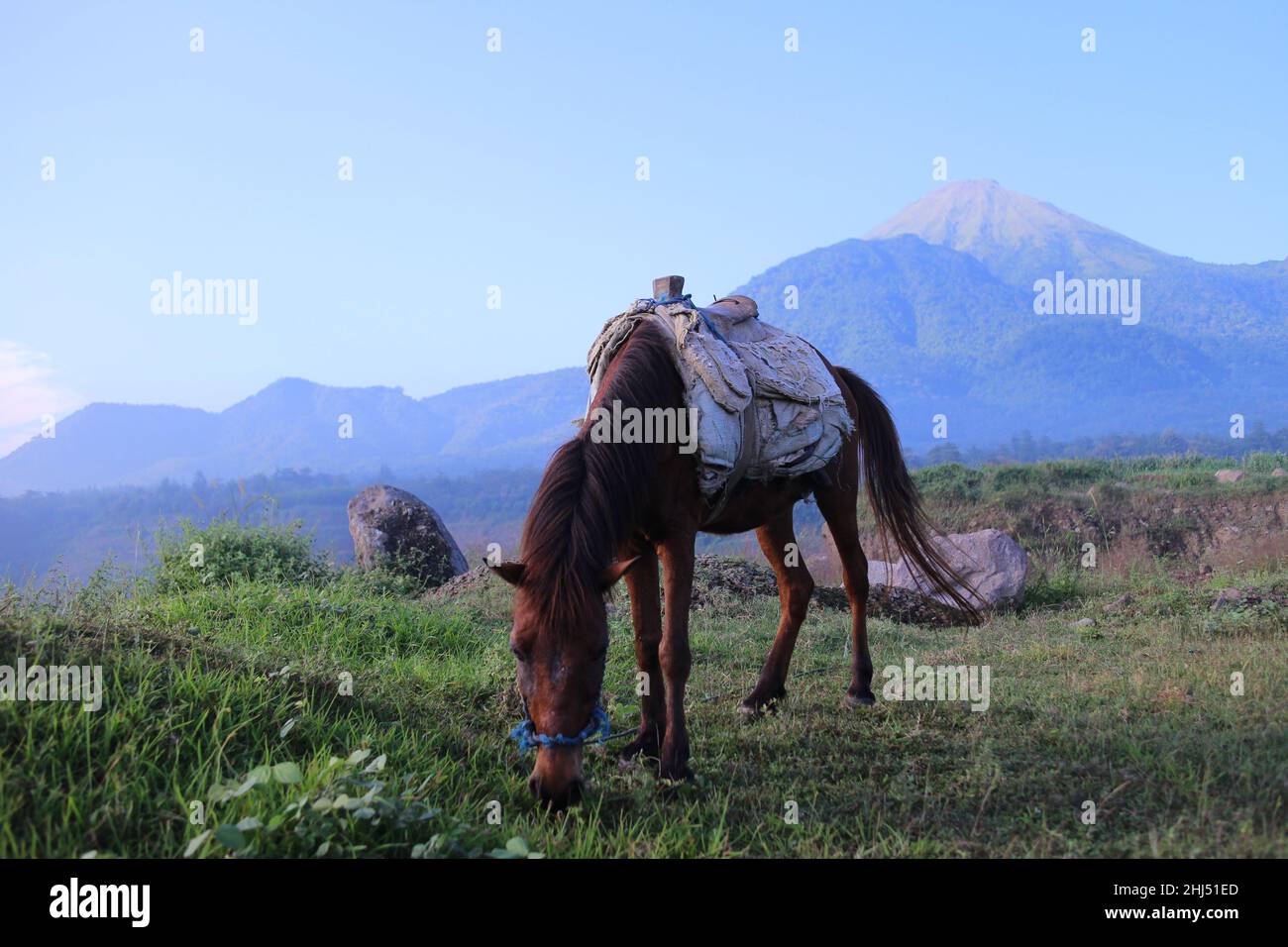 natural view from street,mount hill and beach Stock Photo - Alamy