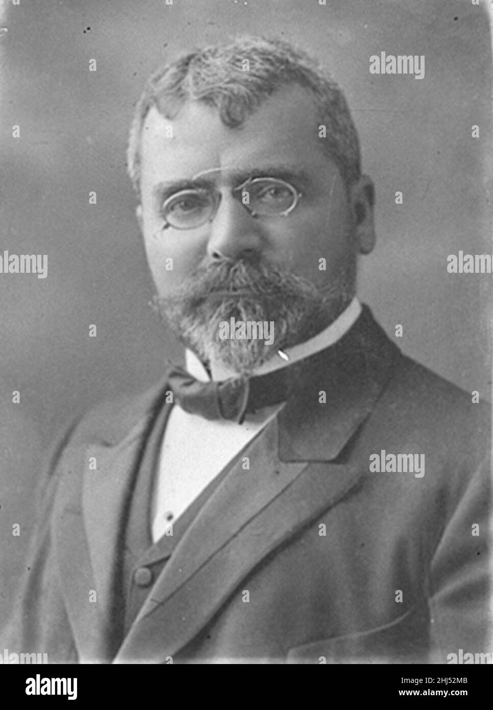 Stoyan Danev by Ivan Karastoyanov Stock Photo - Alamy