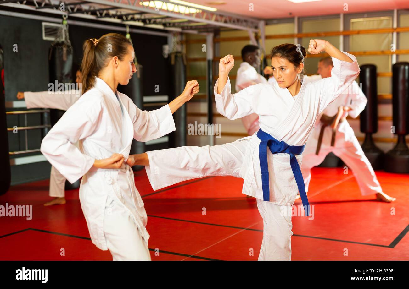 Women and in pairs exercising karate movements during group training in ...