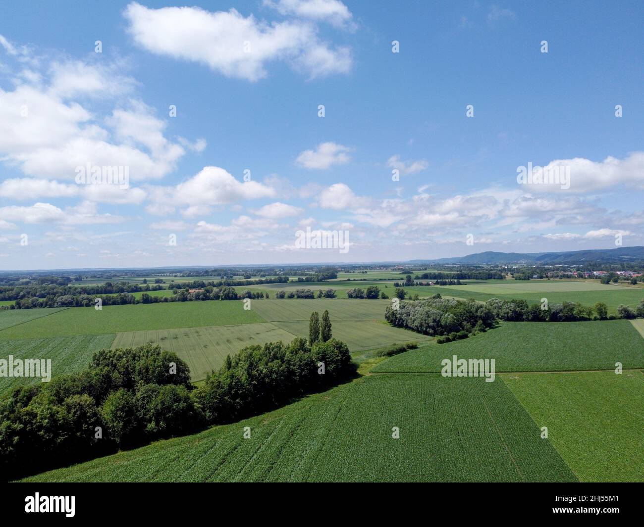 Aerial view of an agricultural field with grain planted in spring Stock ...