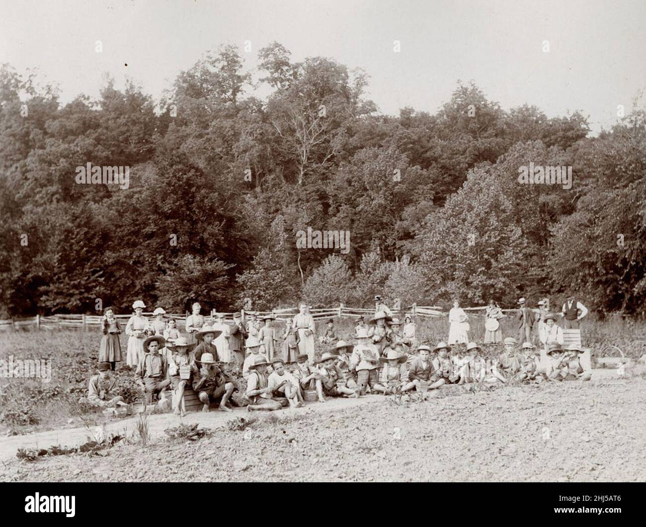 Strawberry pickers hi-res stock photography and images - Alamy