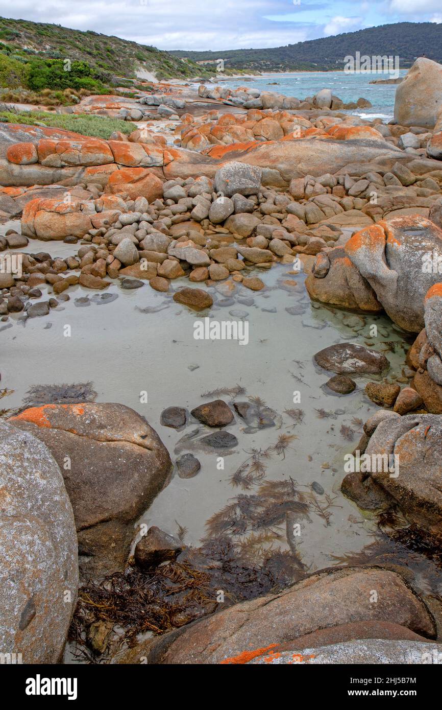 Rockpool at Palana on Flinders Island Stock Photo - Alamy