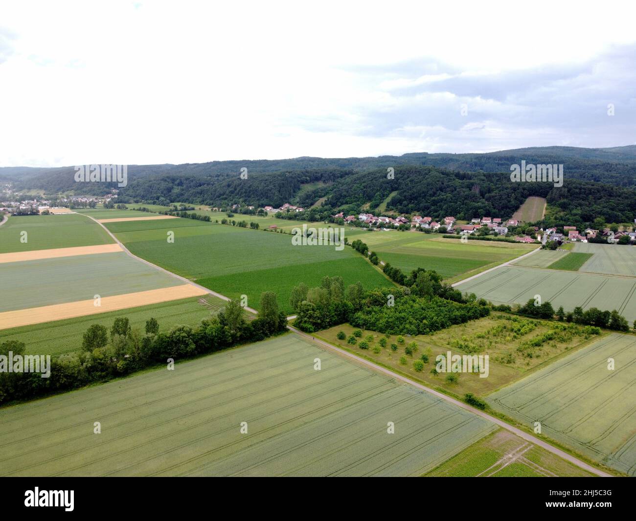 Aerial view of an agricultural field with grain planted in spring Stock ...