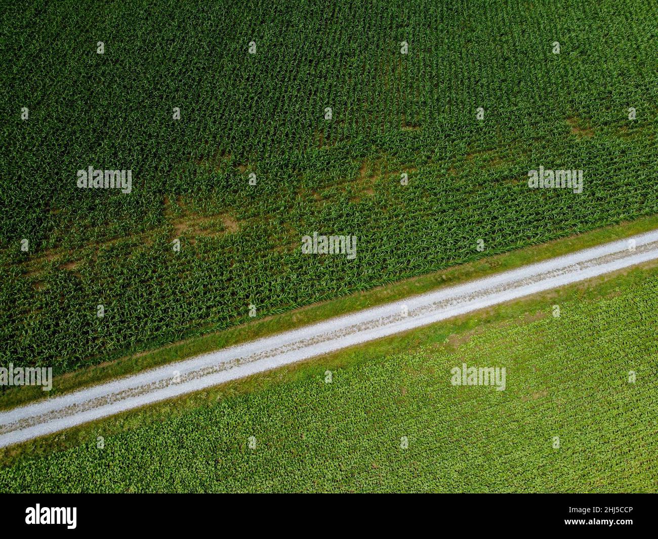Aerial shot of the green field and a road Stock Photo - Alamy