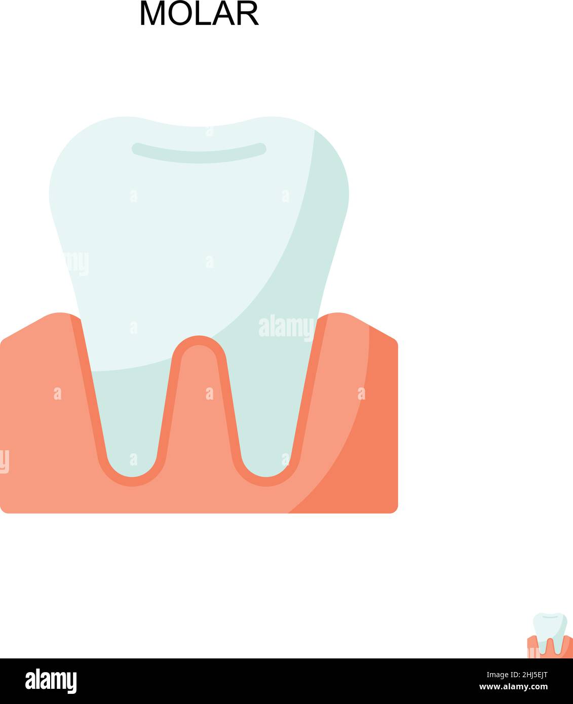 Mouth teeth diagram hi-res stock photography and images - Alamy