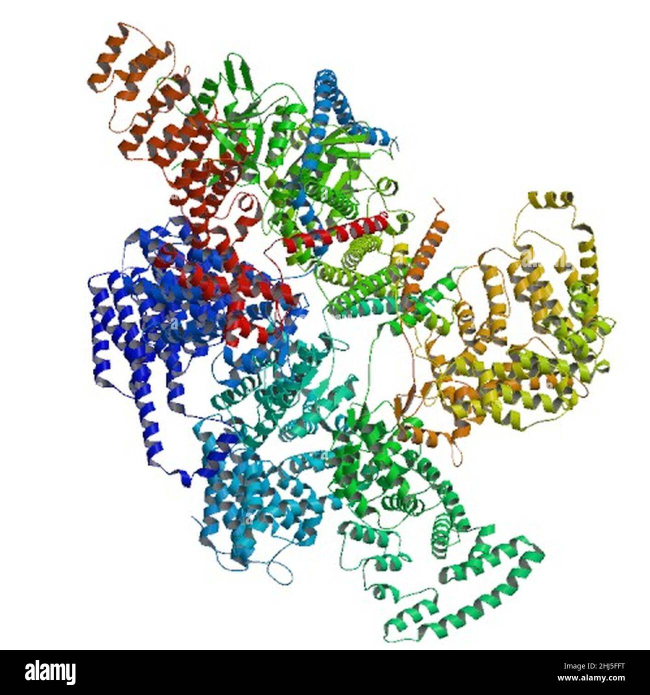 Structure of mammalian eIF3 in the context of the 43S preinitiation ...