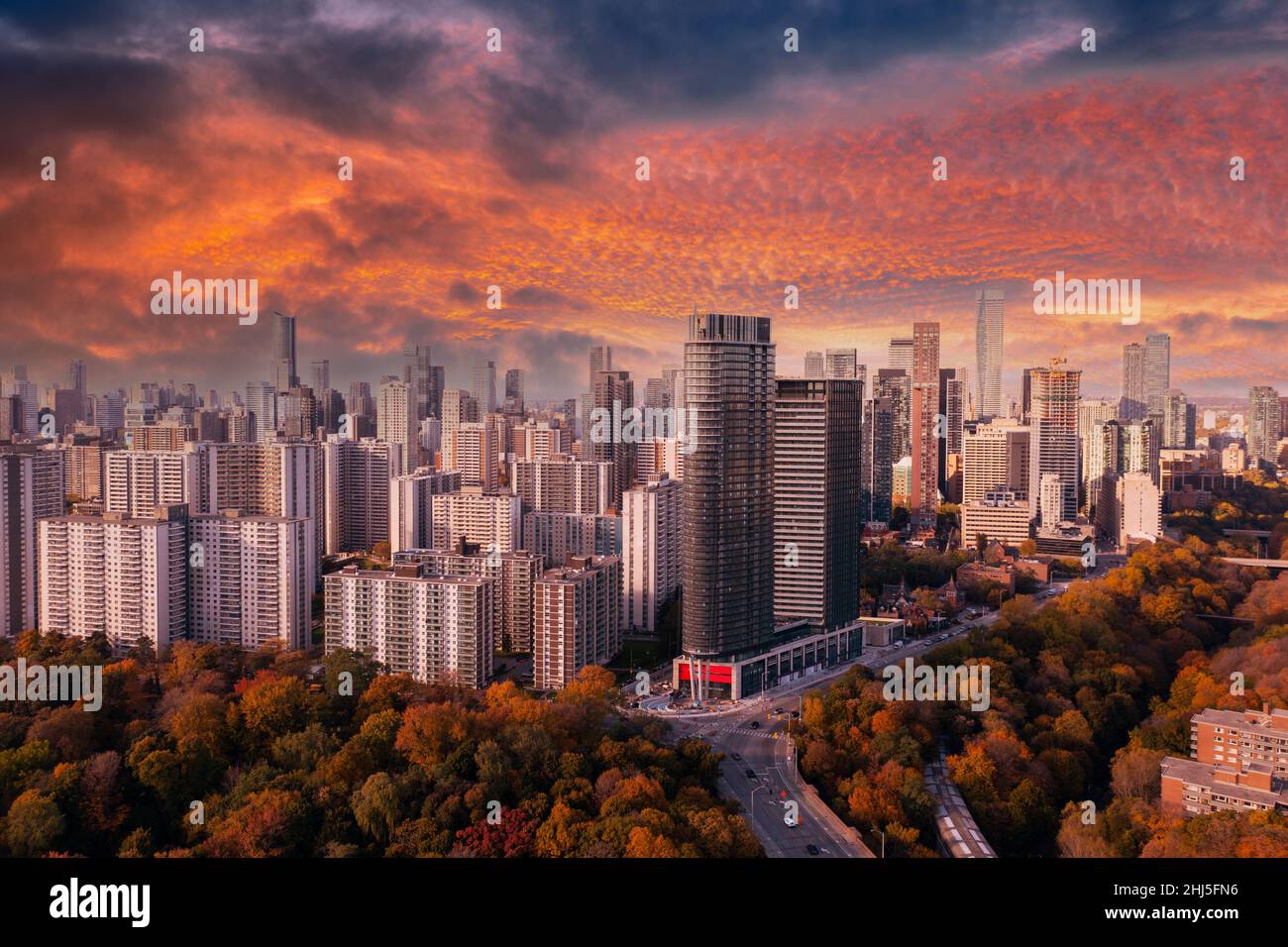 Droneview of Toronto skyline with fall leaf's surrounding the cityscape ...