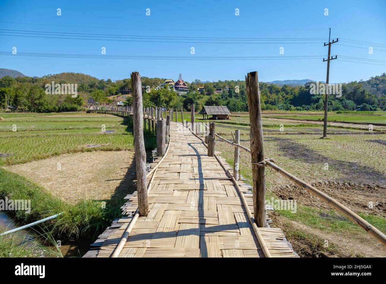 Tong farm hi-res stock photography and images - Alamy