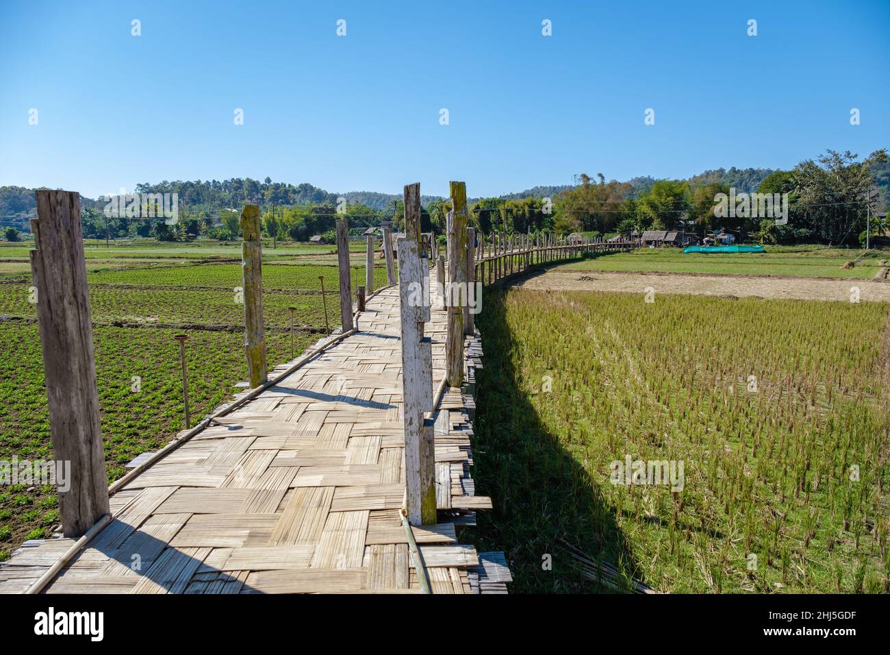 Tong farm hi-res stock photography and images - Alamy