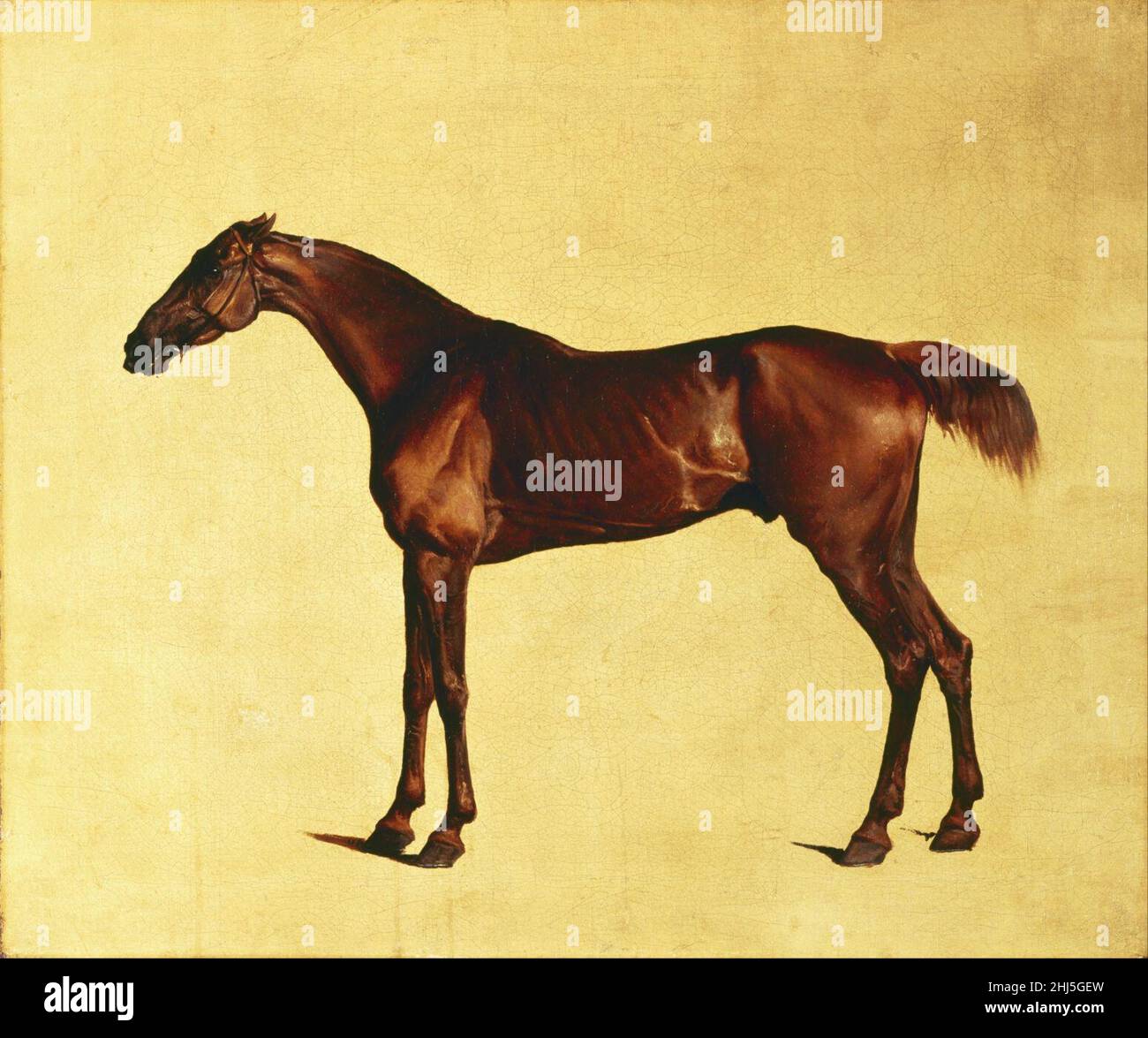 George pangloss hi-res stock photography and images - Alamy