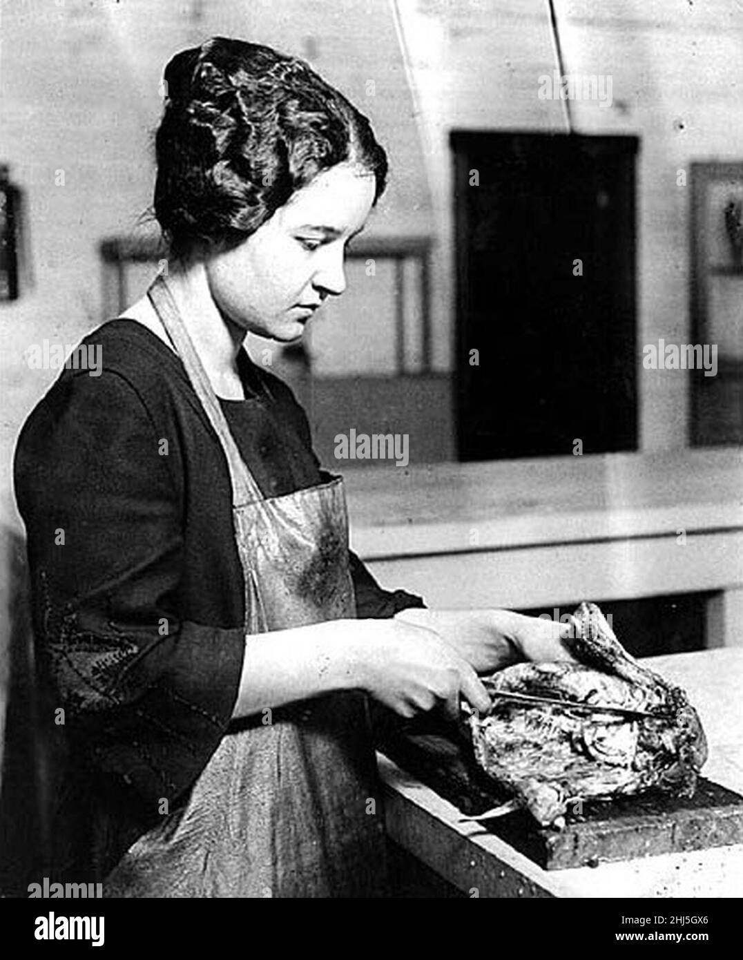 University of washington seattle 1920 hi-res stock photography and ...