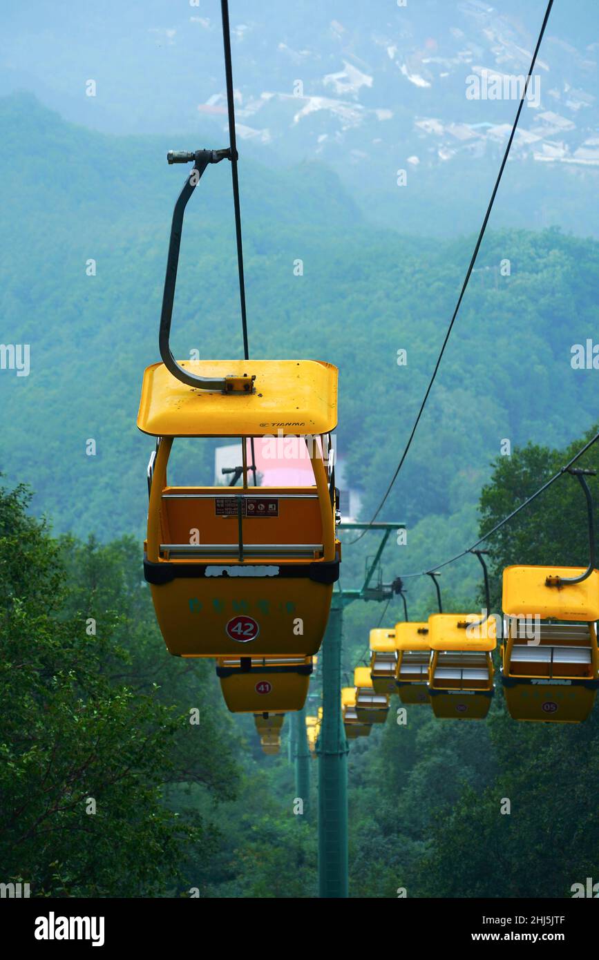 Vertical shot of yellow cable cars on a ropeway throughout the forest ...