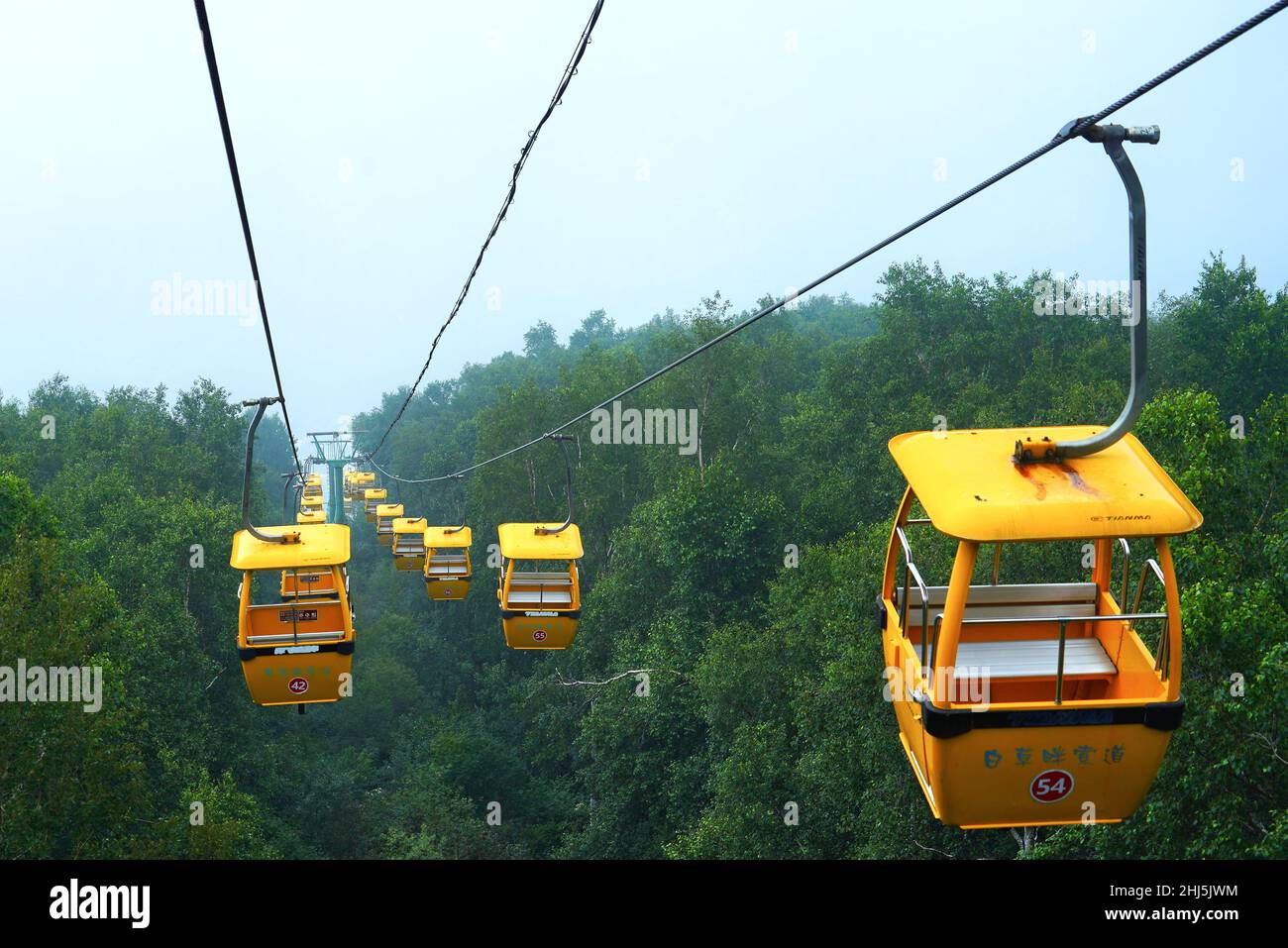Ropeway with yellow cable cars through a green forest Stock Photo - Alamy