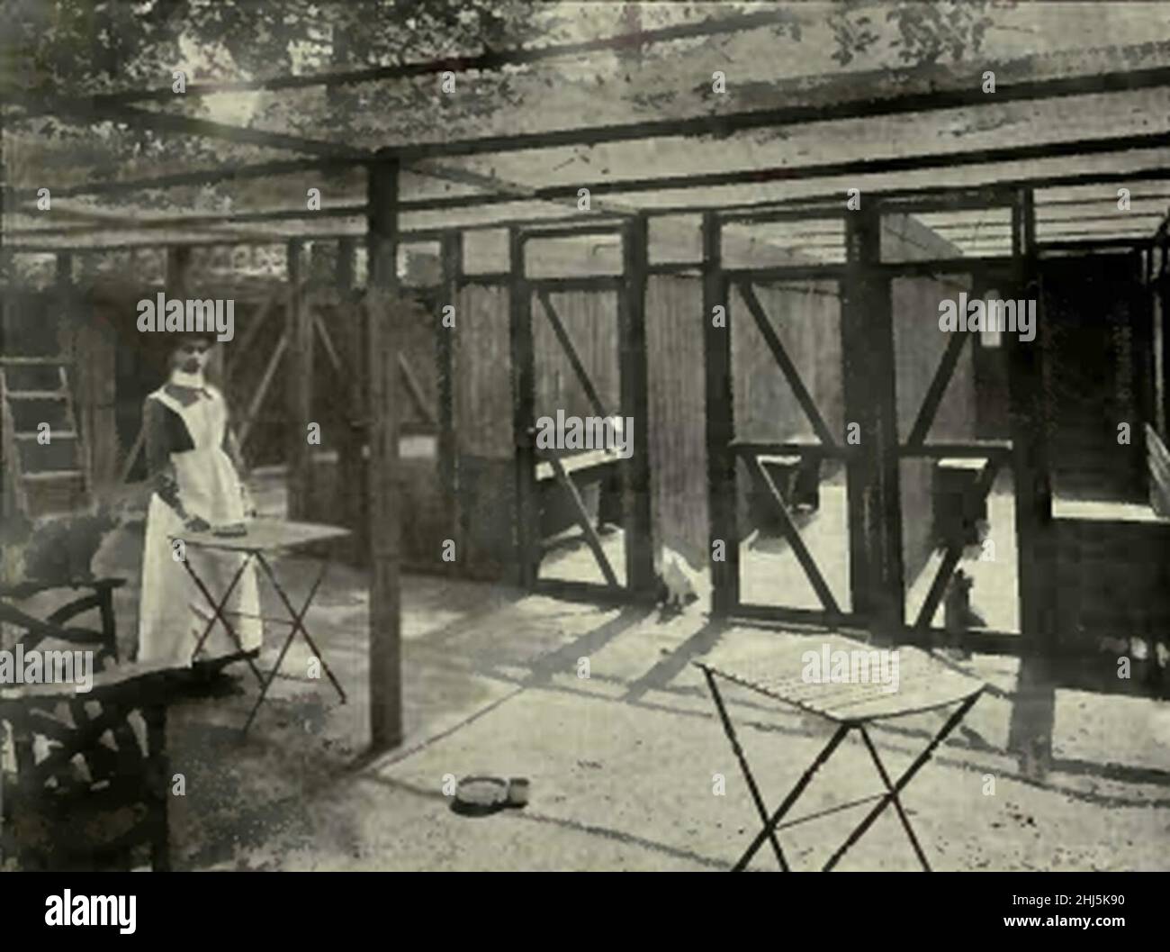 Studs Cat Houses Stock Photo - Alamy