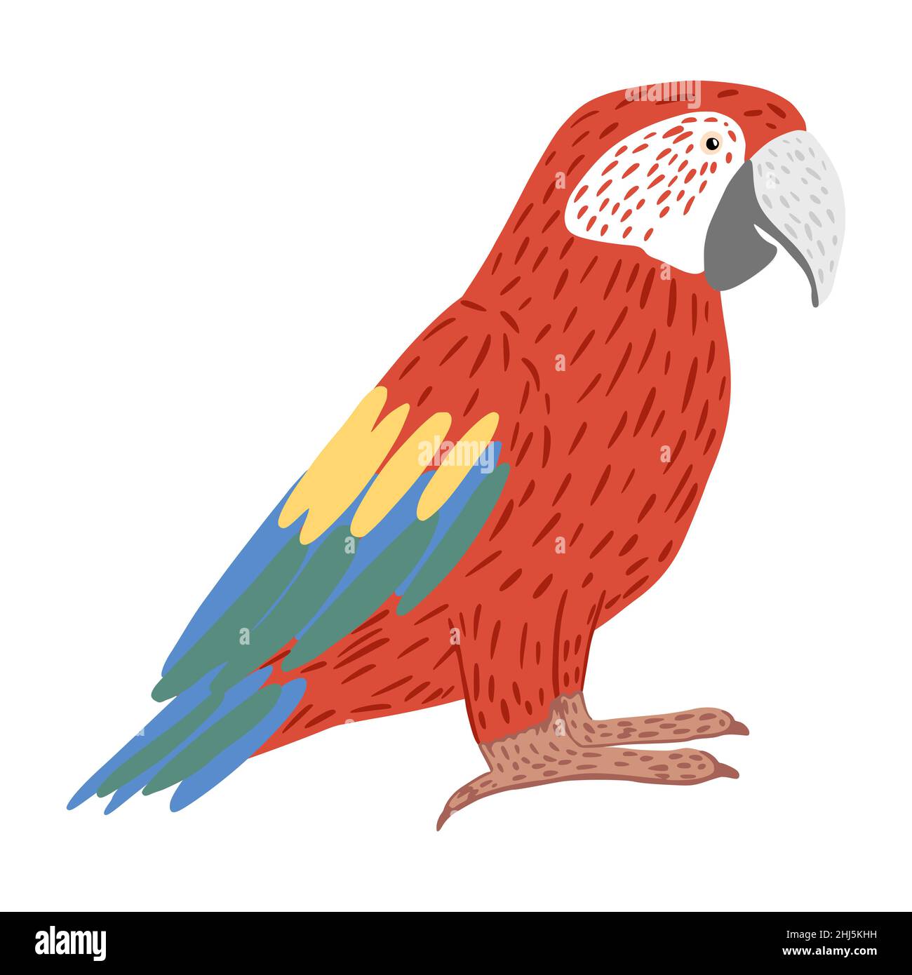 Parrot ara isolated on white background. Colorful tropical character ...