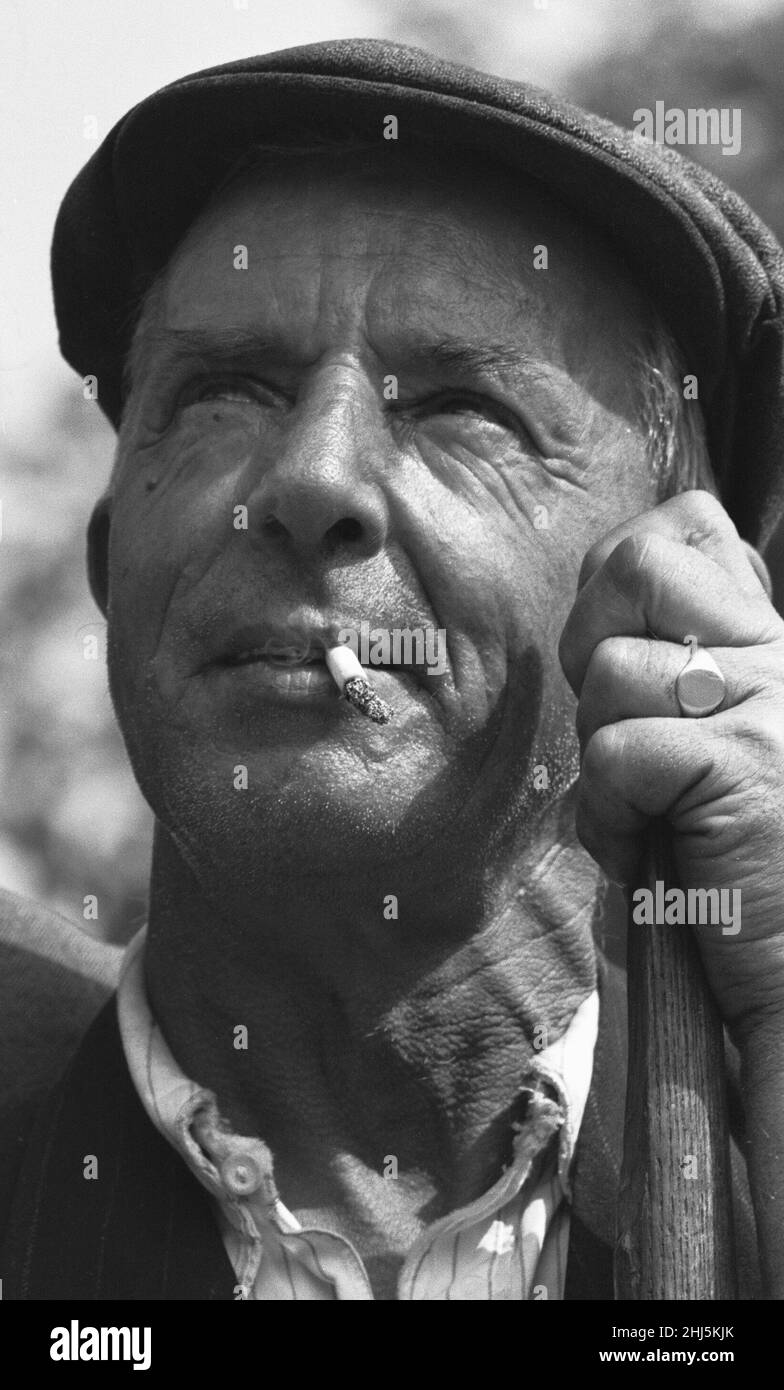 The little gardener Black and White Stock Photos & Images - Alamy