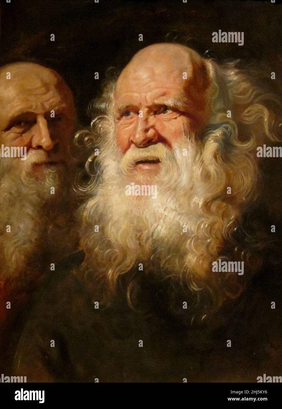 Study Heads of an Old Man by Peter Paul Rubens, c. 1612, Dayton Stock ...